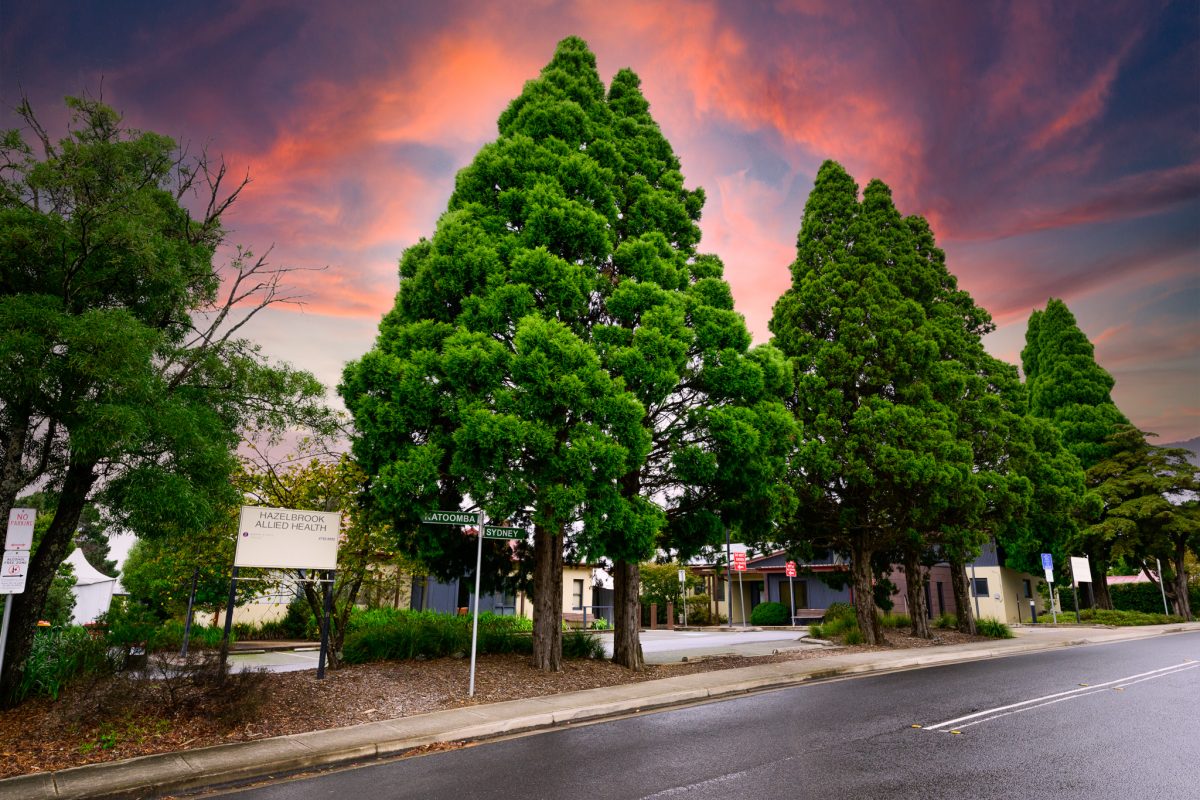 Hazelbrook General Practice - Doctors in Hazelbrook and surrounds